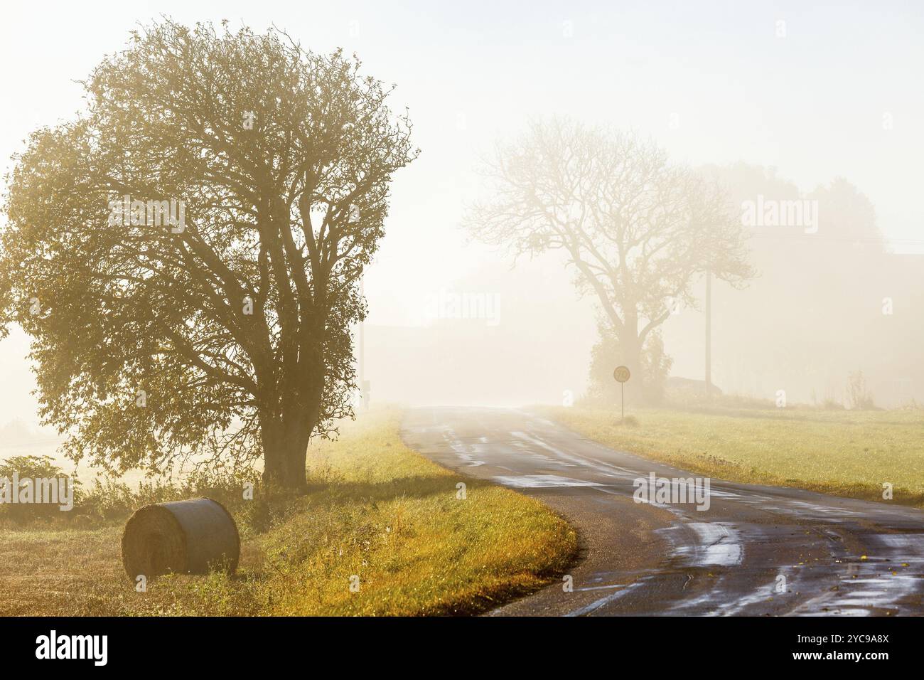 Mist on road hi-res stock photography and images - Alamy