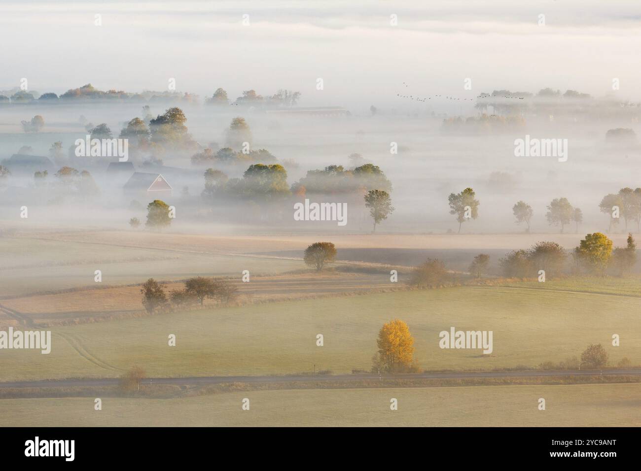 Aerial view fields covered in hi-res stock photography and images - Alamy
