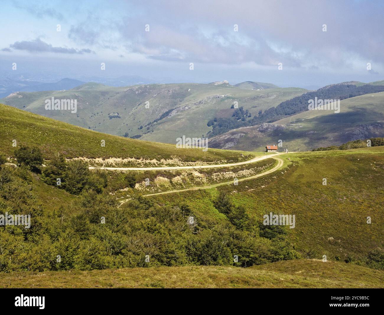 Napoleon bonaparte hut hi-res stock photography and images - Alamy