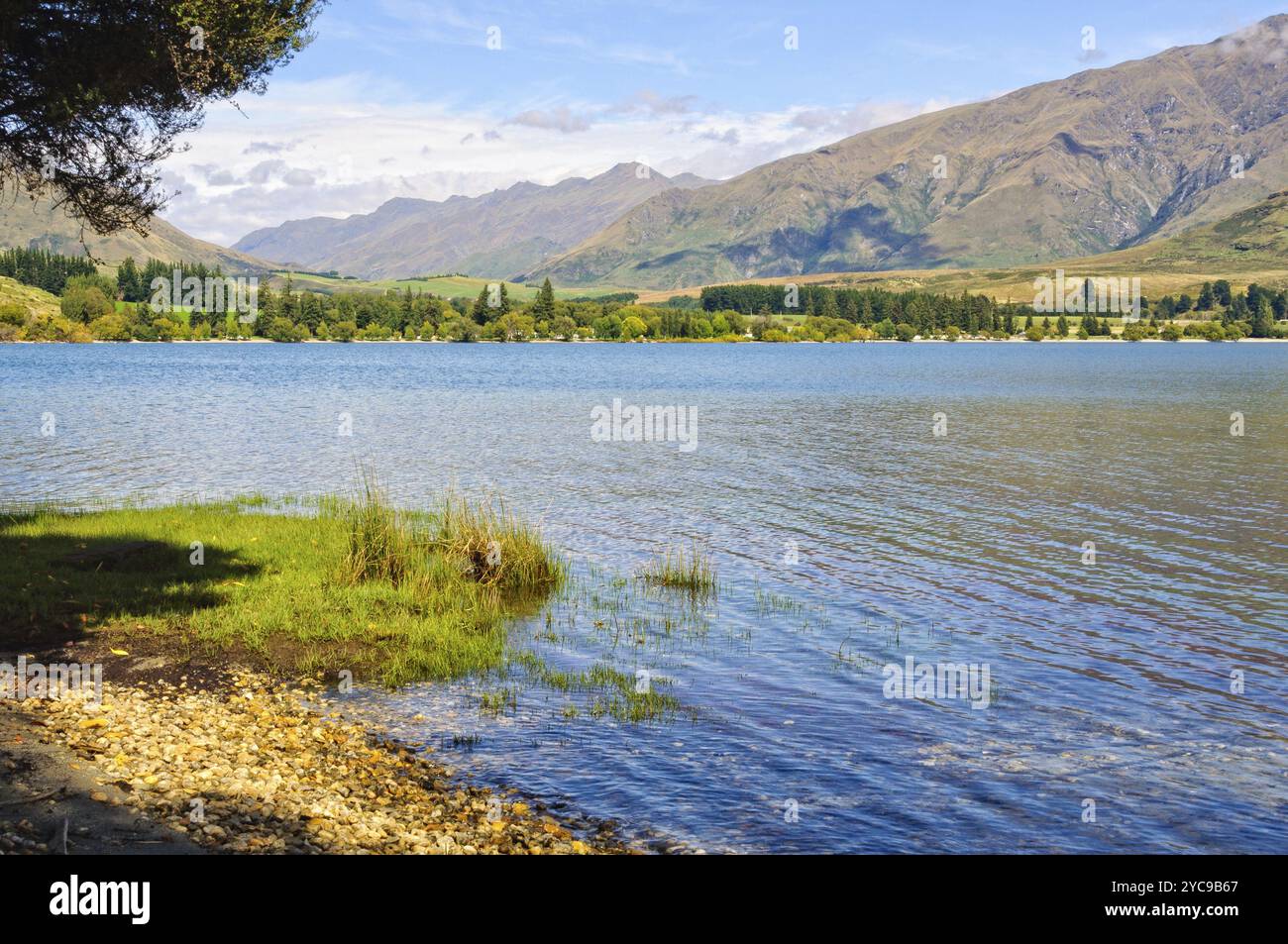 A quiet spot of Lake Wanaka at Glendhu Bay on the South island of New ...