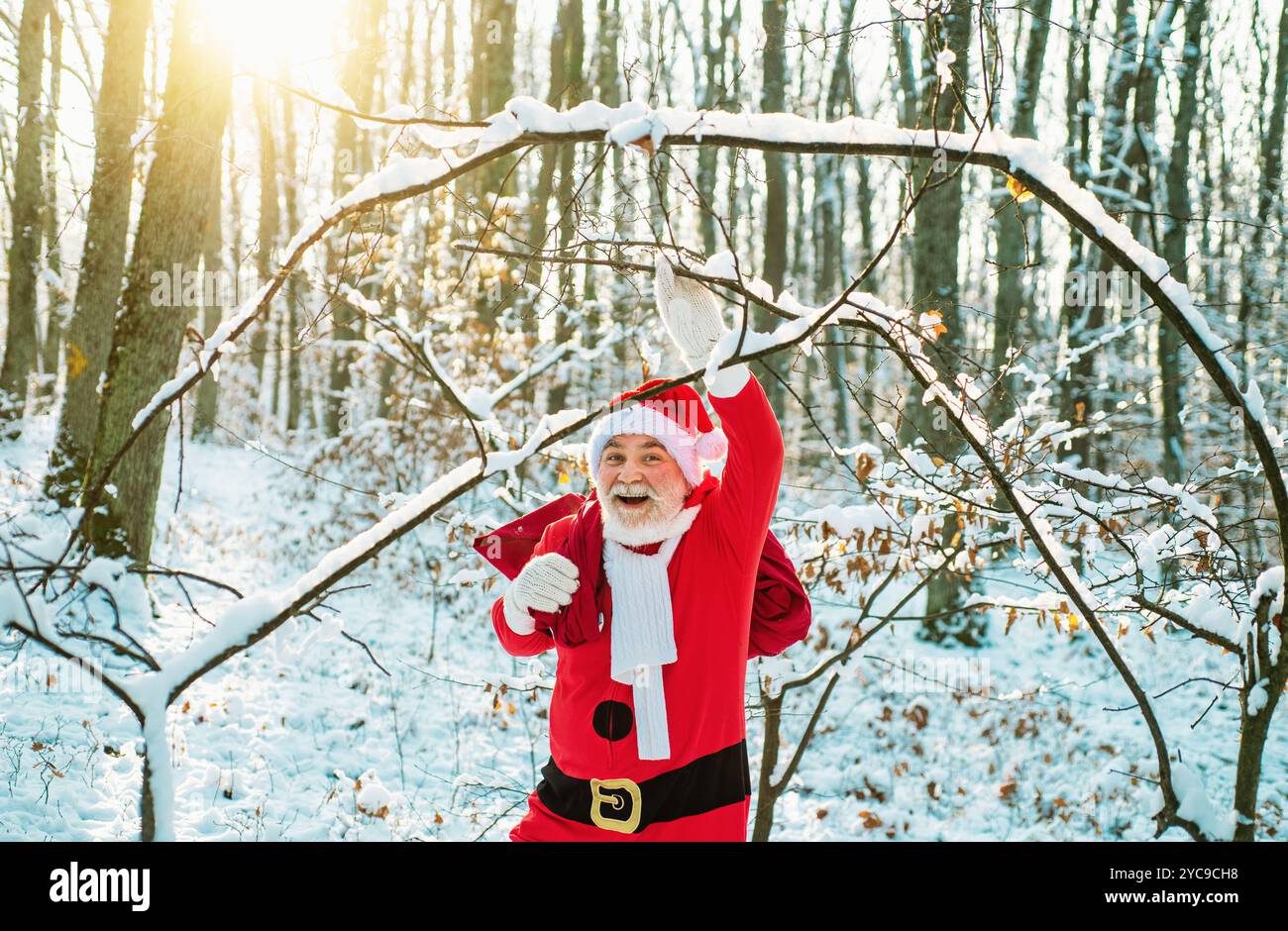 Santa Claus coming to the winter forest with a bag of gifts on snow ...