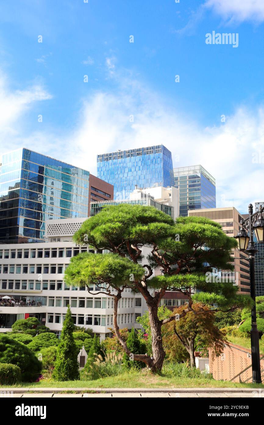 Modern buildings in the area Myeongdong, Seoul, South Korea. Beautiful ...