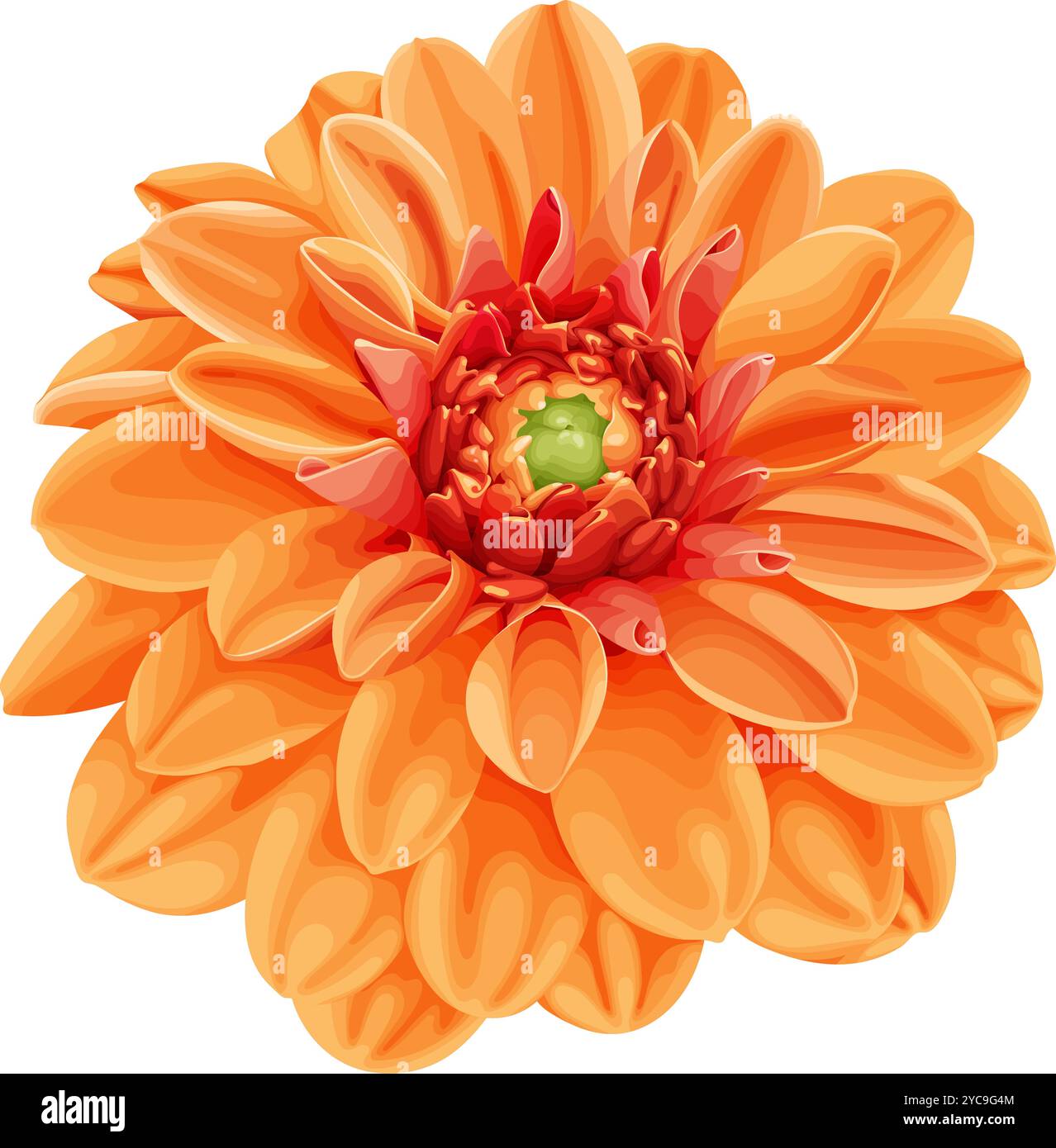 Close up ornamental garden Stock Vector Images - Alamy