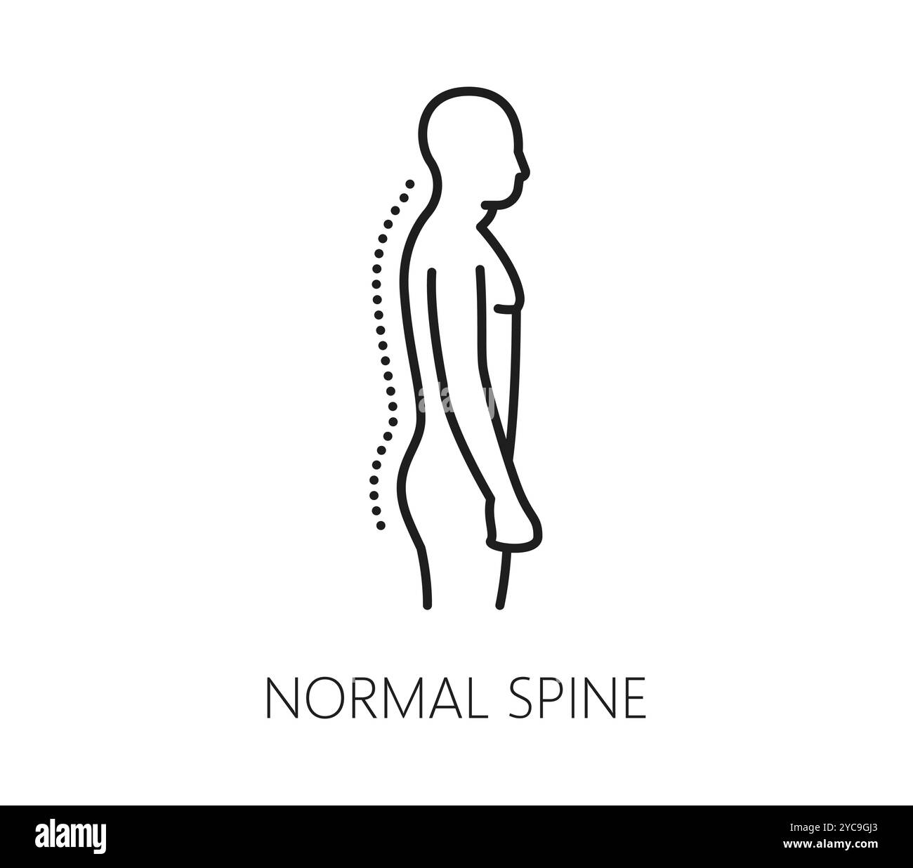 Musculoskeletal diagram Black and White Stock Photos & Images - Alamy