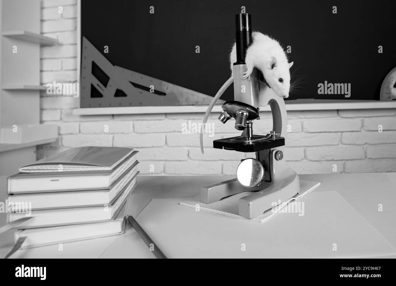Funny rat sit on microscope. Banner for university college or school ...