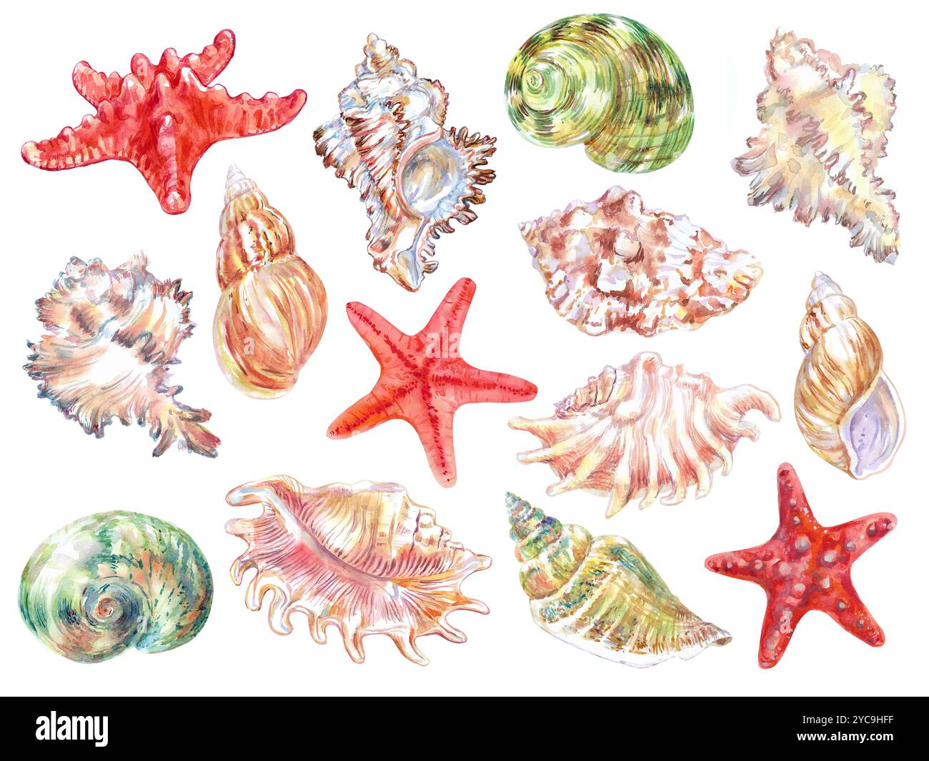 Shells and sea creatures set underwater world in watercolor hand drawn ...
