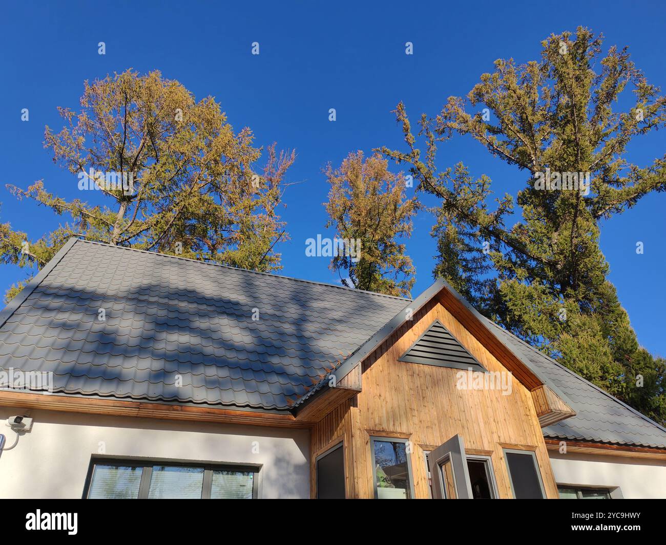 modern house with a metal roof and wood accents under tall trees and a ...