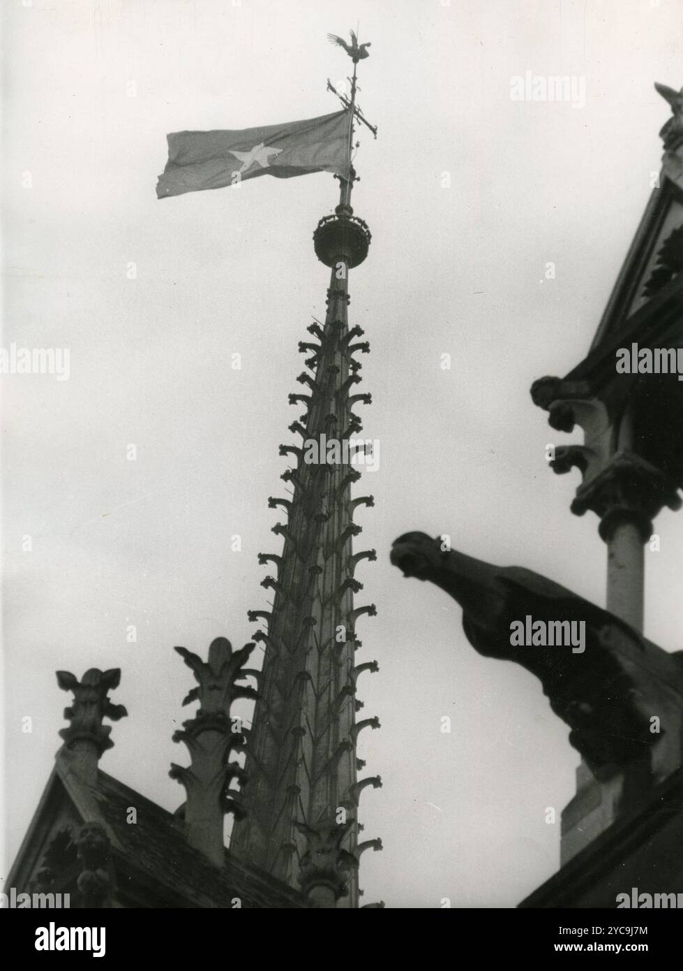 Vietcong flag over Notre-Dame during the War in Vietnam, France 1969 ...