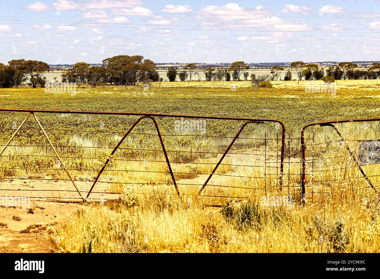 Farm gate australia hi-res stock photography and images - Alamy