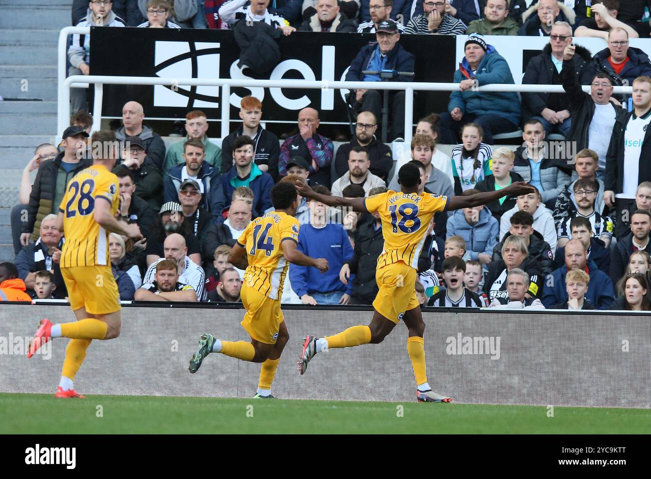 Danny Welbeck of Brighton & Hove Albion Celebrates scoring 0-1 ...