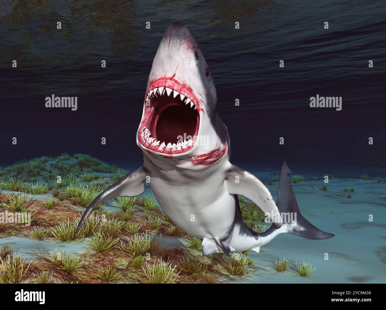 Great white shark in an underwater landscape Stock Photo - Alamy