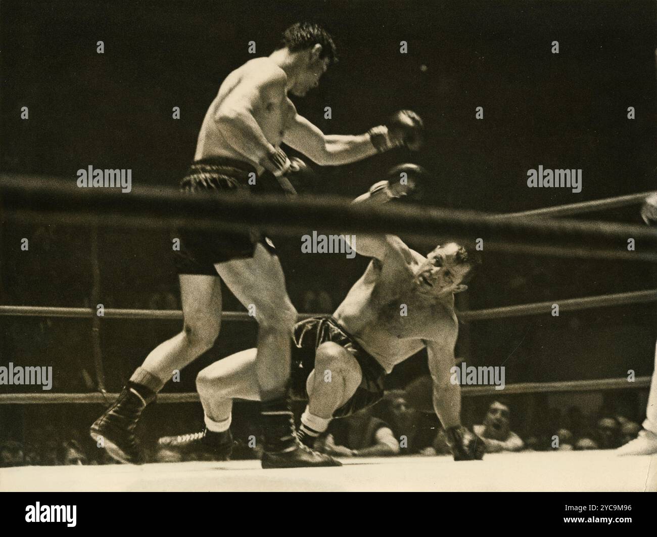 Italian professional boxer Aldo Pravisani and Ryan, Italy 1960s Stock ...