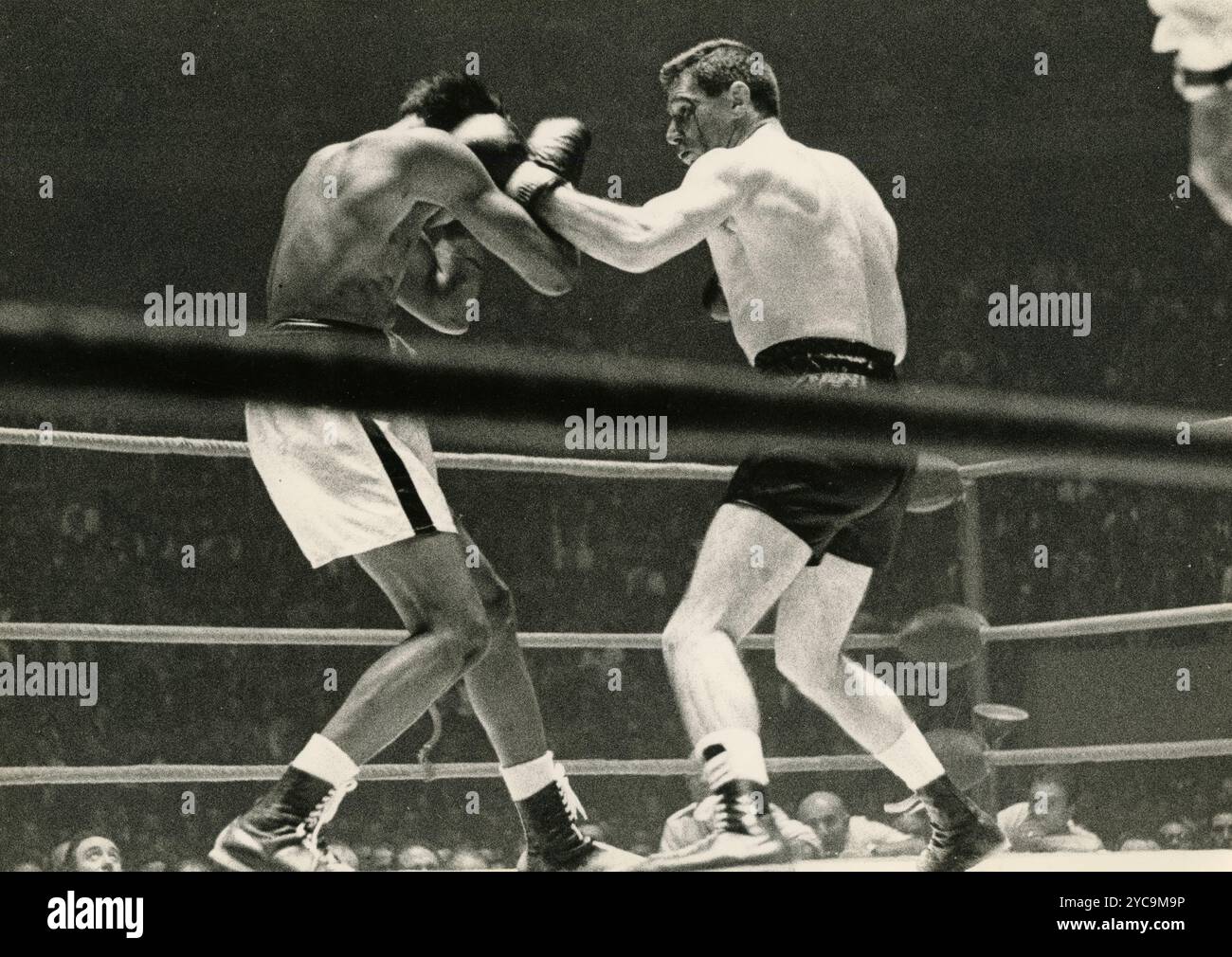 Italian professional boxer Bruno Visintin and Morgan, Italy 1960s Stock ...