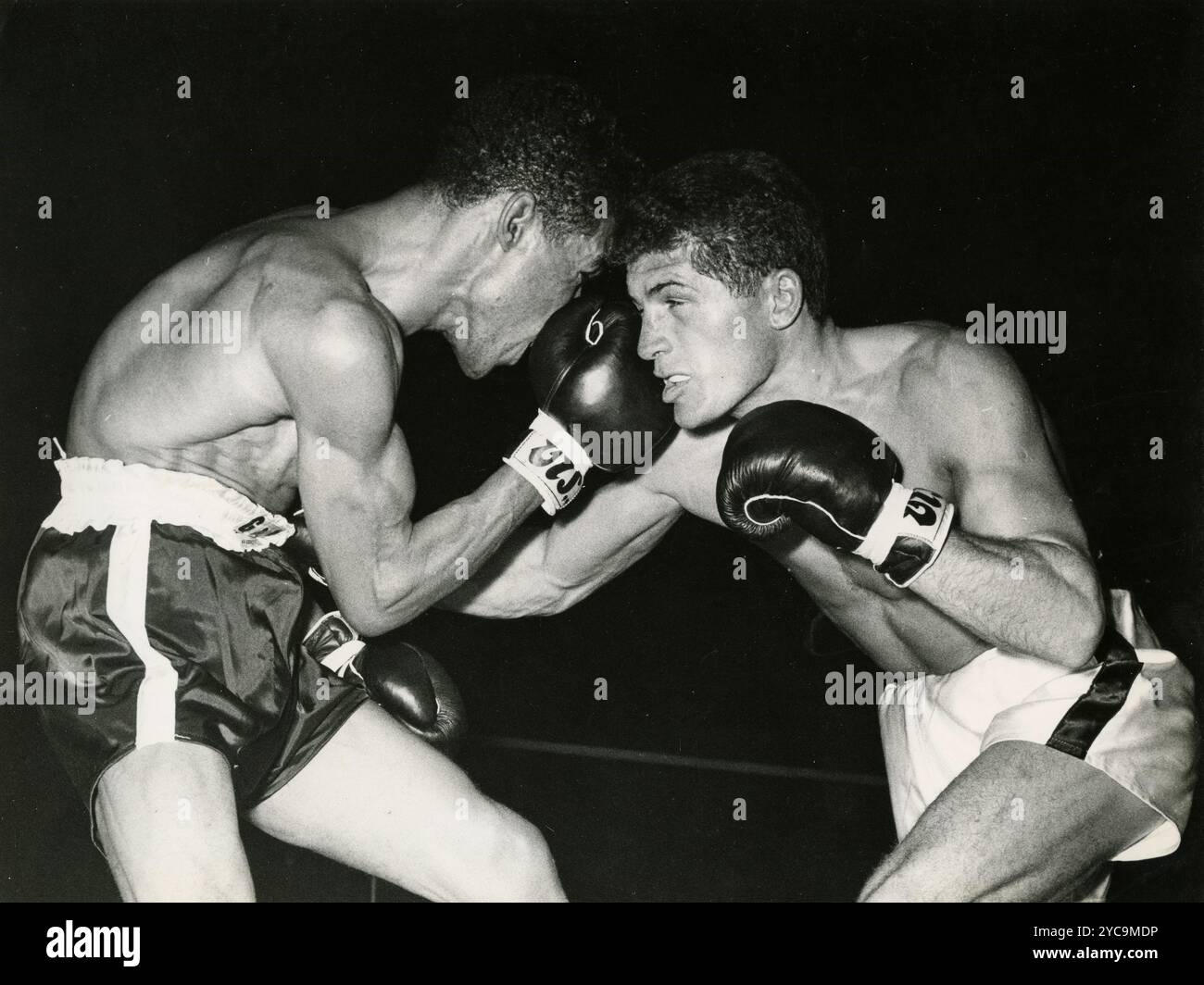 Italian professional boxer Mario Vecchiatto and Algerian Lahouari Godih ...