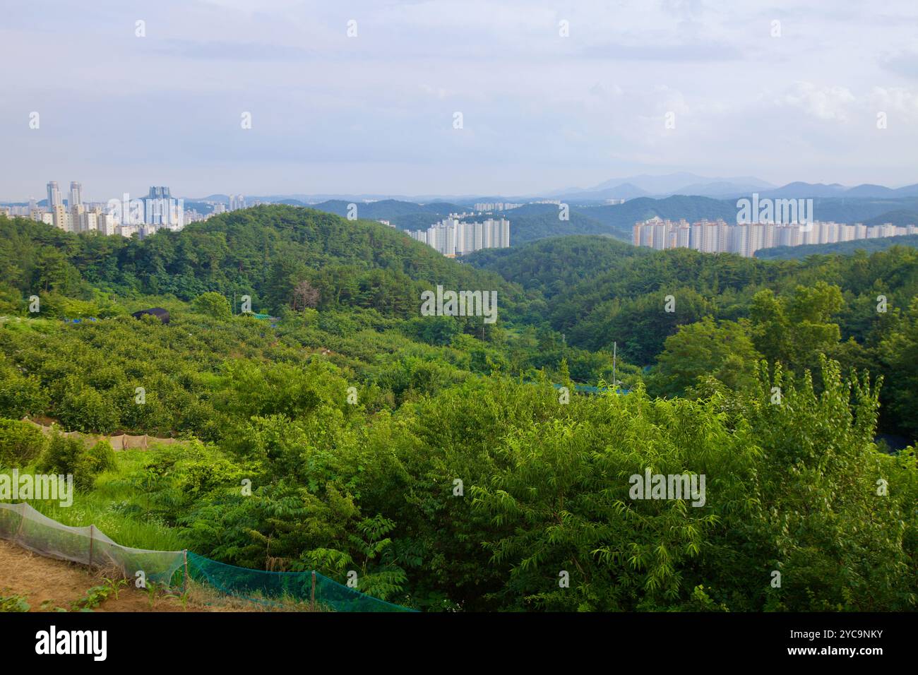Ulsan, South Korea - July 10th, 2019: A scenic view from Ipwha Mountain ...