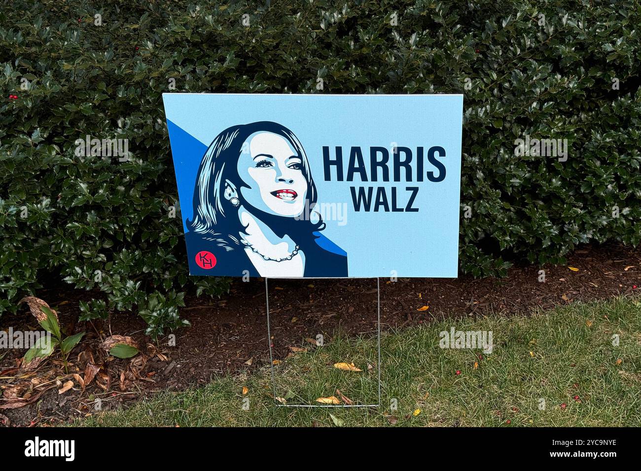 Political Yard Signs, private election posters, and campaign ...