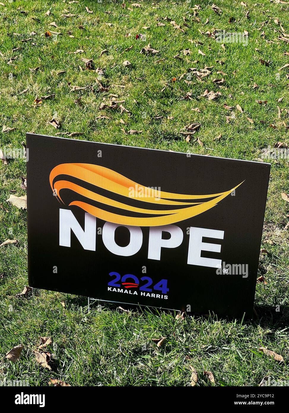 Political Yard Signs, private election posters, and campaign ...