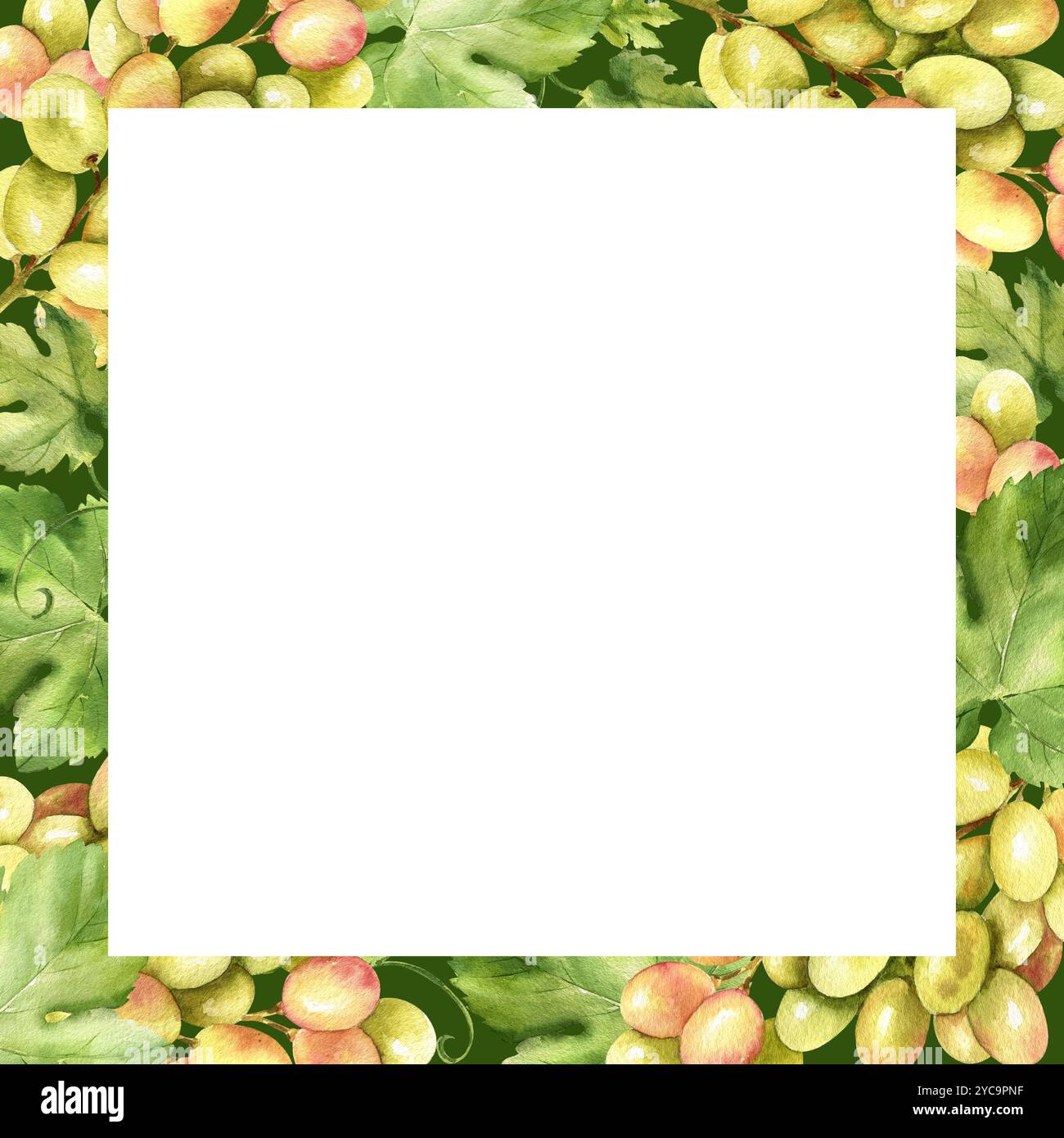 white square frame with Watercolor grape brunches and green leaves ...