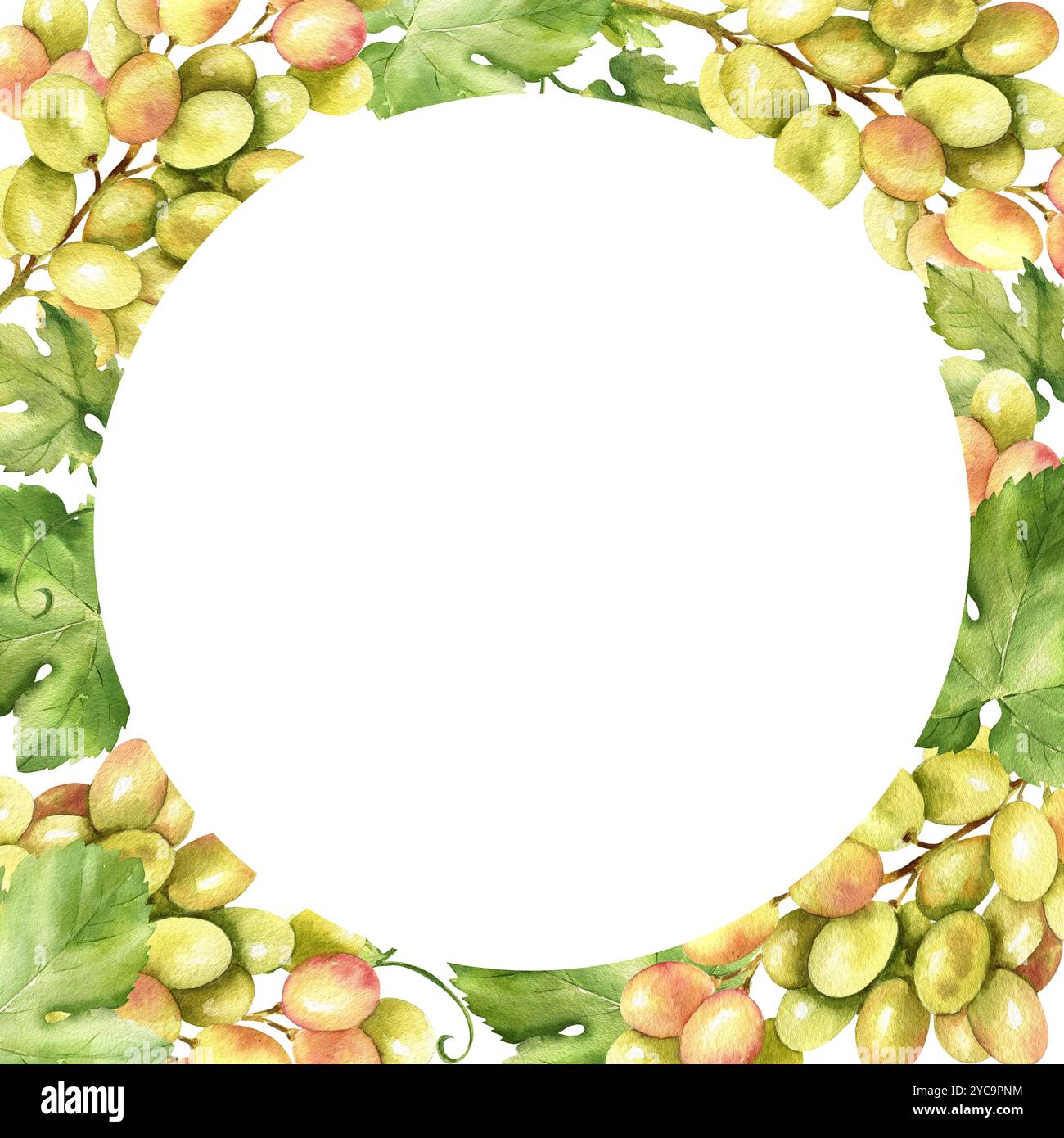 Watercolor round white frame with grape brunches and green leaves ...