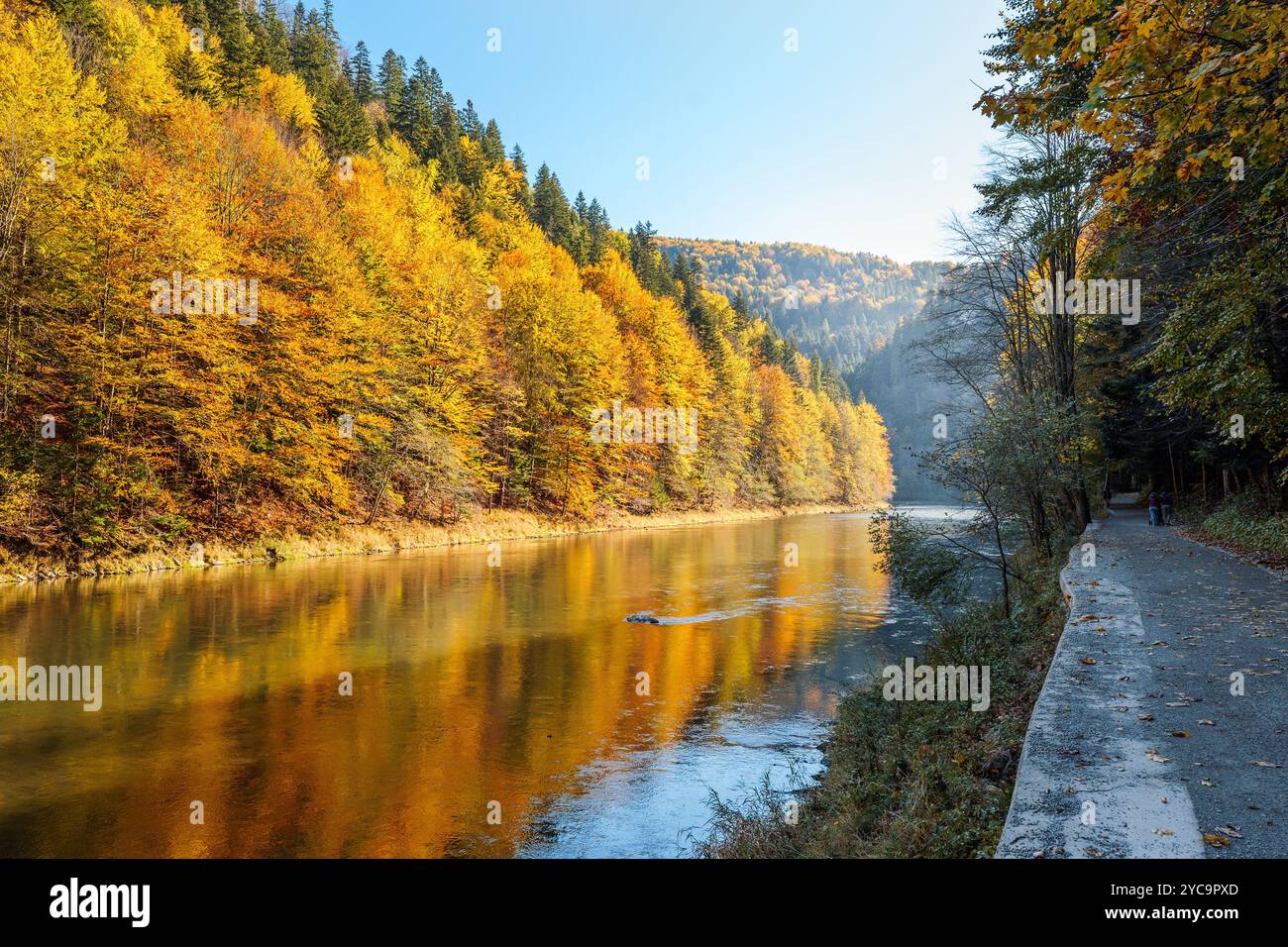The gorge of the Dunajec River in autumn. Beautiful colorful autumn ...
