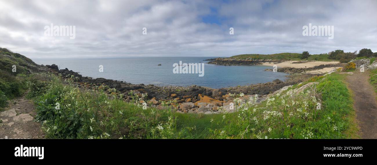Panoramic view of a beach with rocks, sand, plants and flowers of the ...
