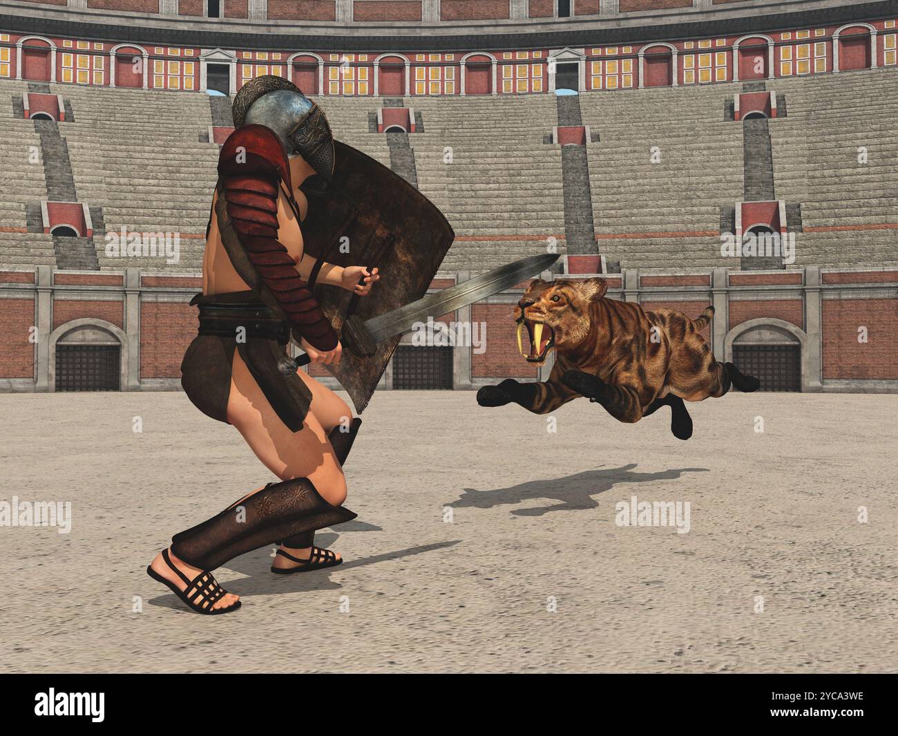 Thracian gladiator and big cat in the colosseum in ancient Rome Stock ...