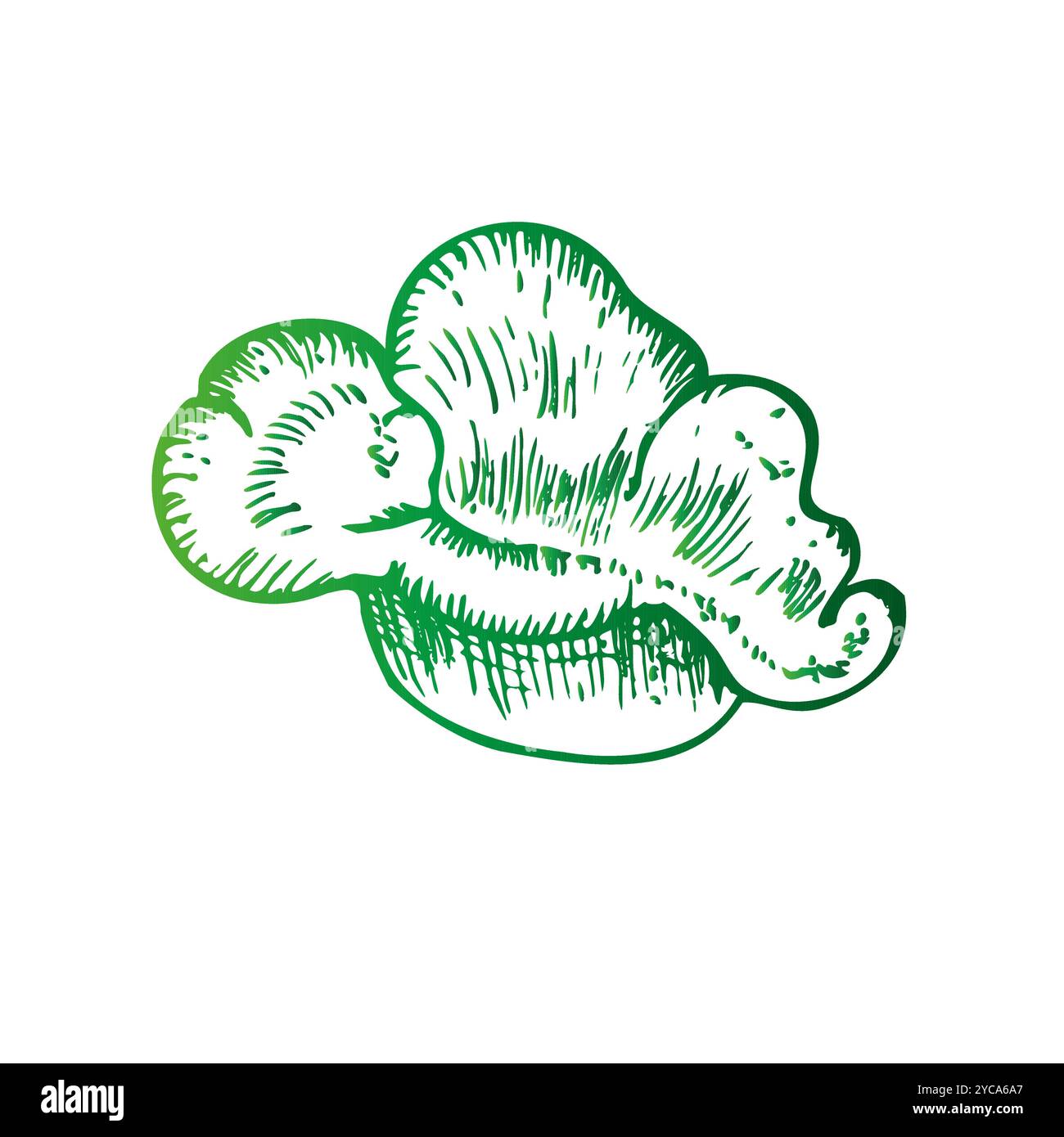Vector green coral. Hand painted line reef sketch. Graphic tropical ...
