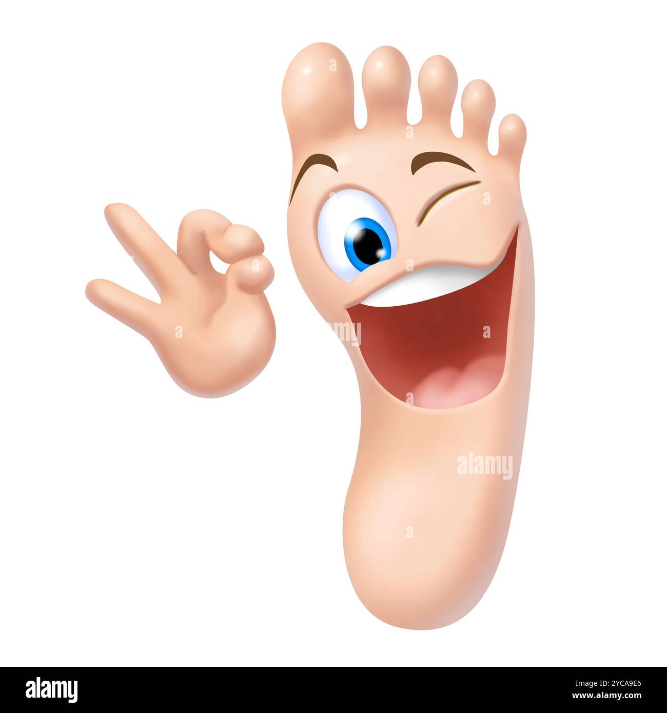 Anatomia del piede hi-res stock photography and images - Alamy