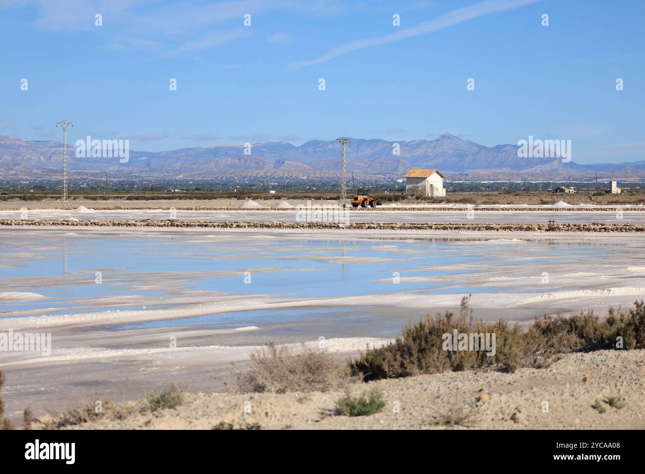 Harvesting of salt in the Saltworks in the natural park of Santa Pola ...