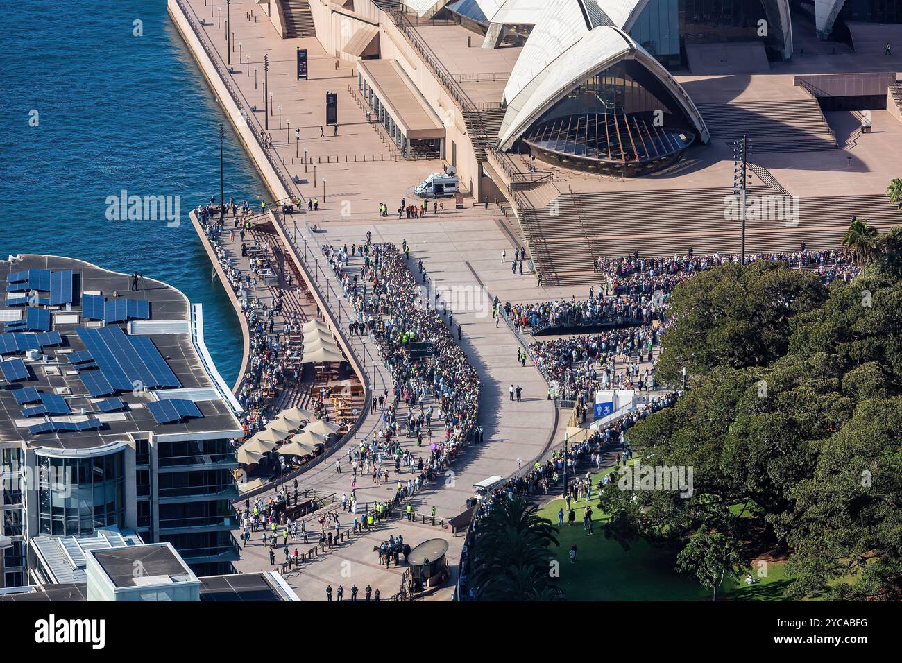 King charles in sydney hi-res stock photography and images - Alamy
