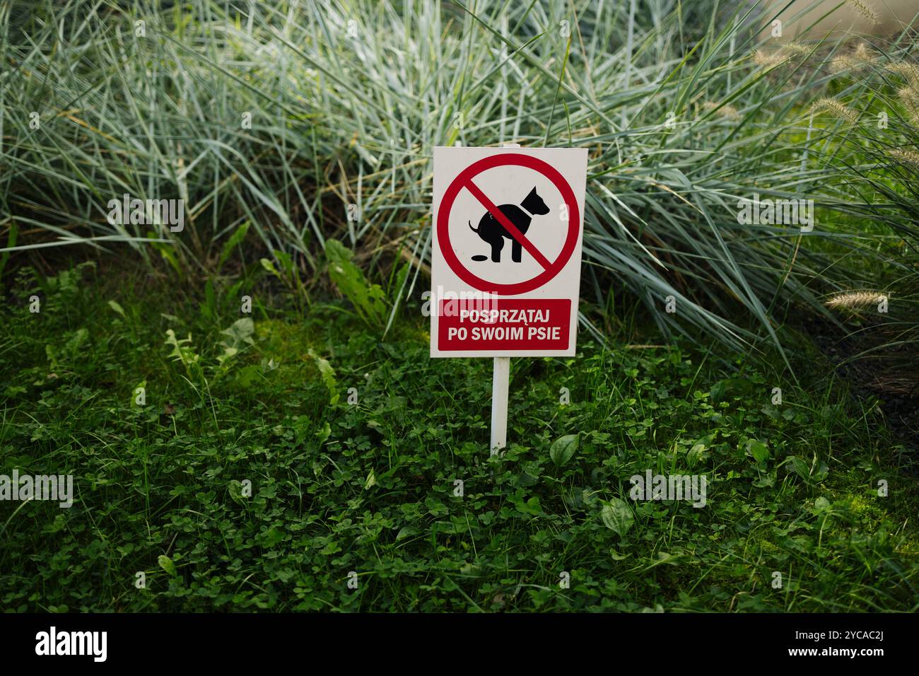 No dog poo sign in public park. Blurry background Stock Photo - Alamy