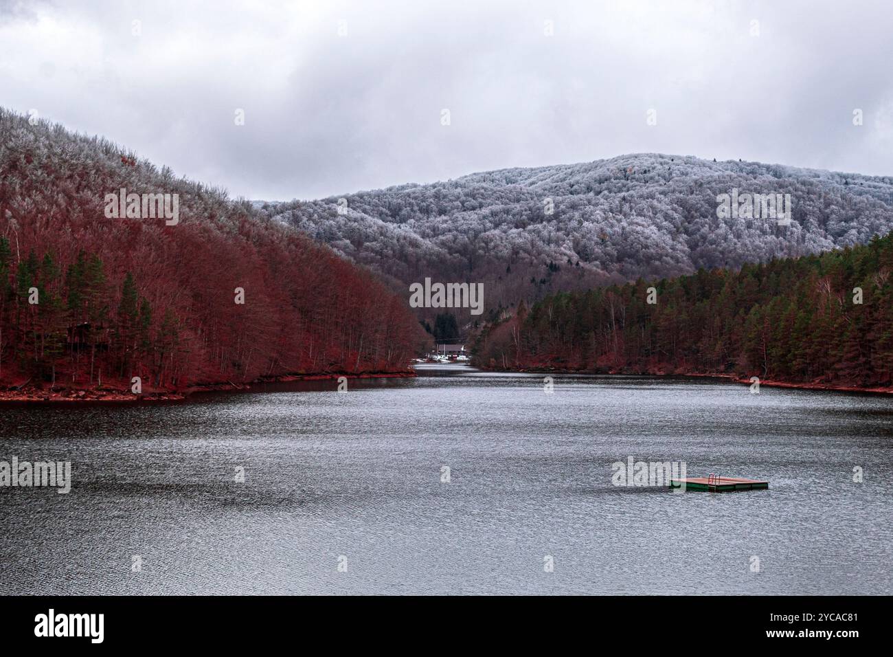 A frozen lake, surrounded by two forests of different colors, in a city ...