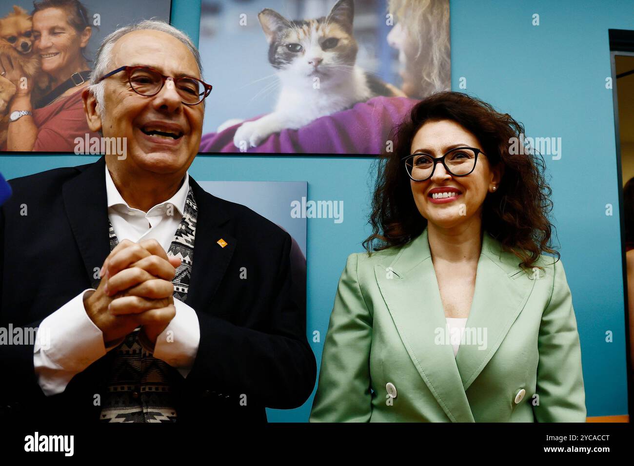 Animali da lavoro hi-res stock photography and images - Alamy