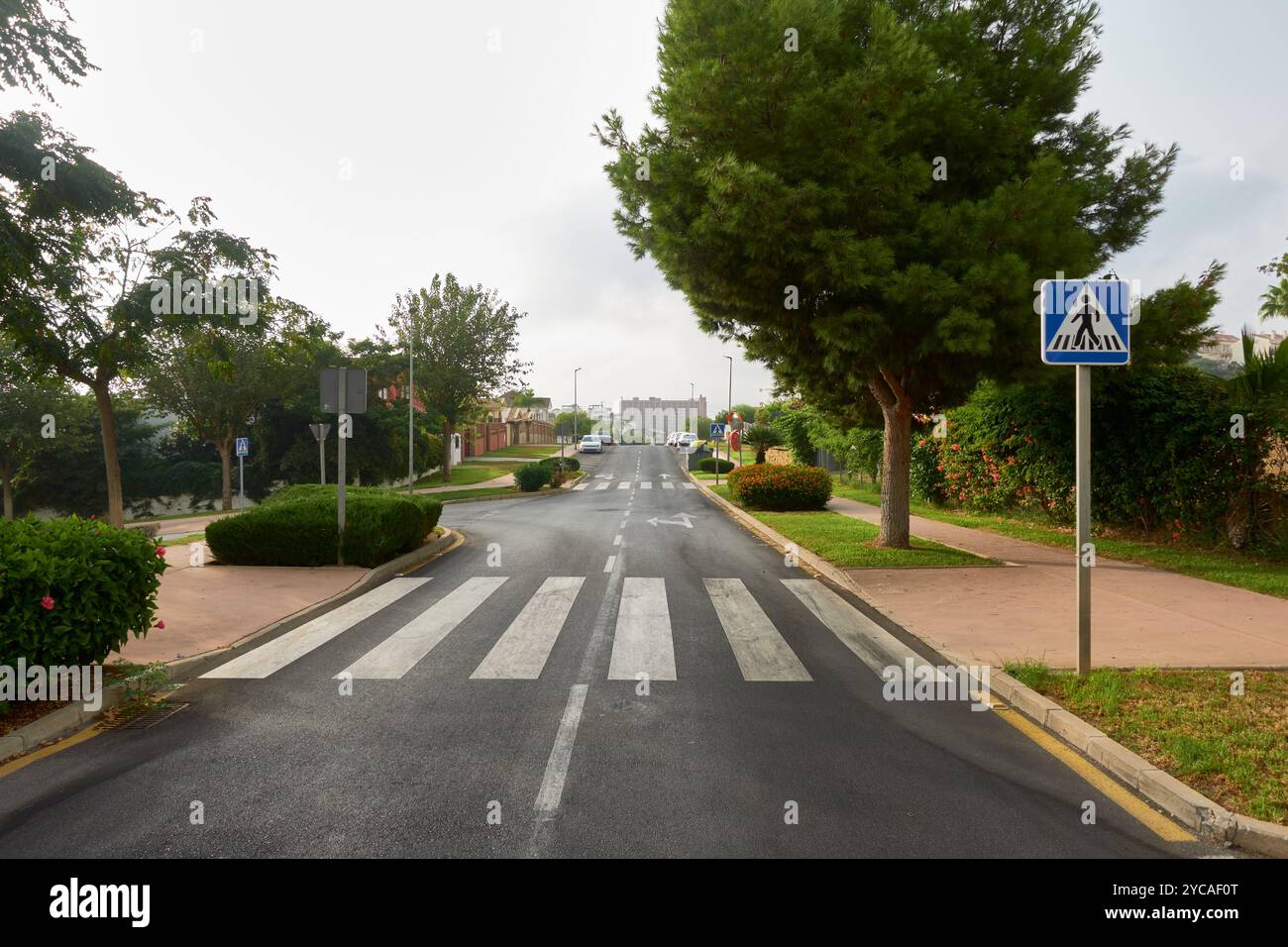 Crosswalk on a residential and suburban street with a zebra crossing ...