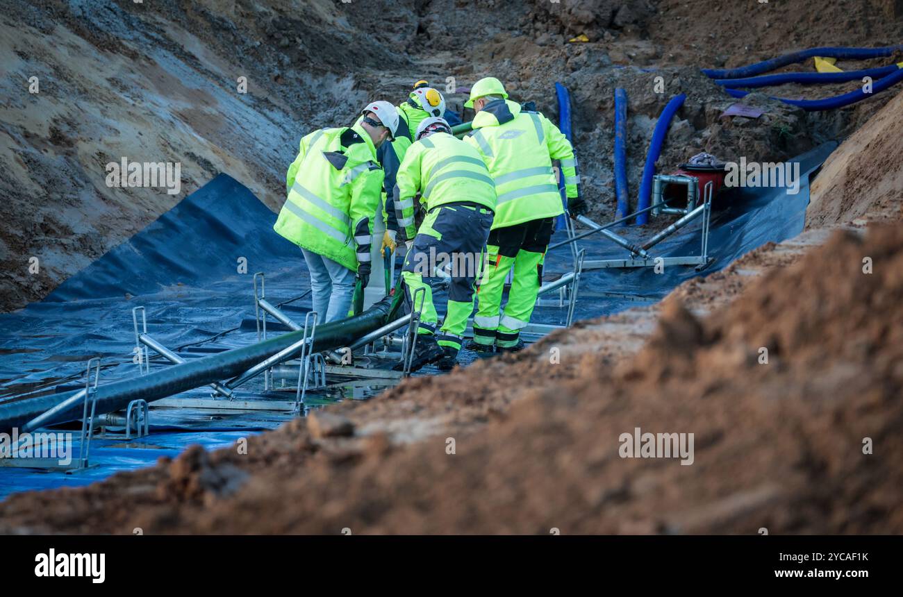 Heeslingen, Germany. 22nd Oct, 2024. Workers pull a cable into a cable ...