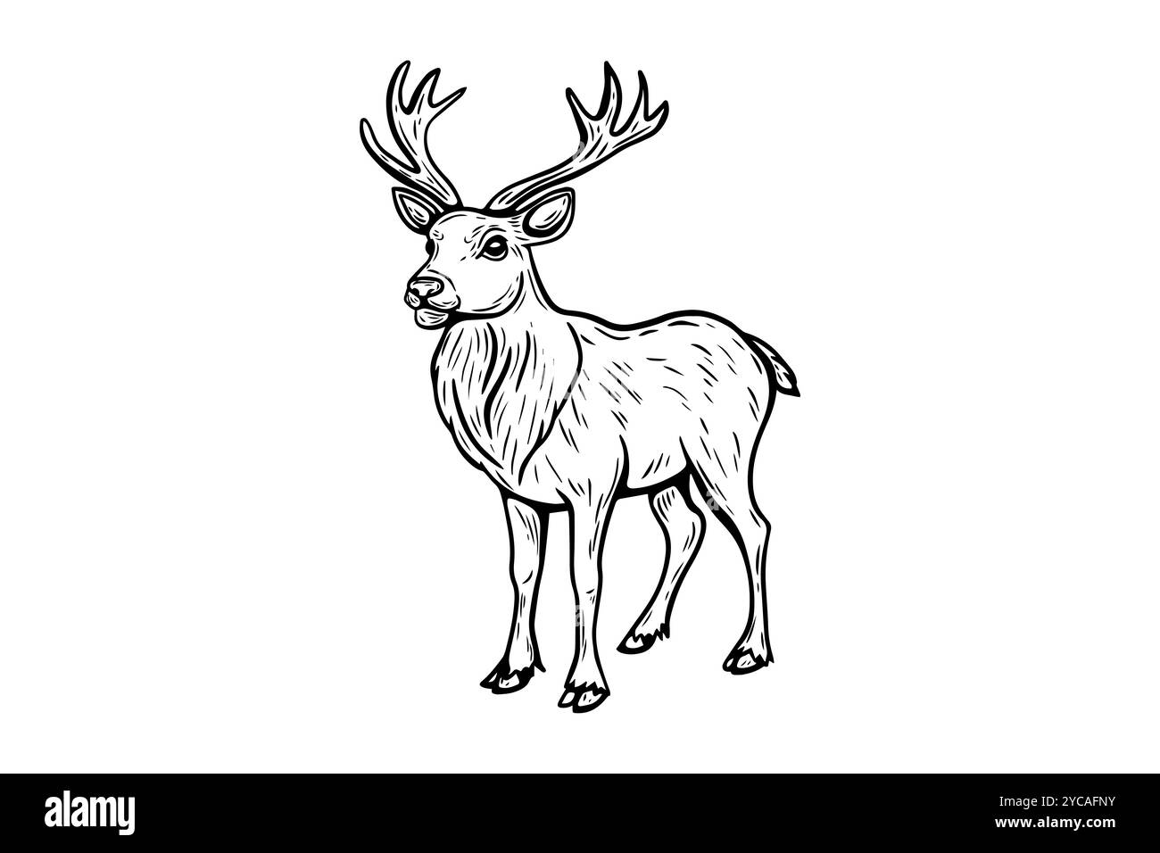 Vector Christmas sketch in vintage style, engraving, line drawing of ...