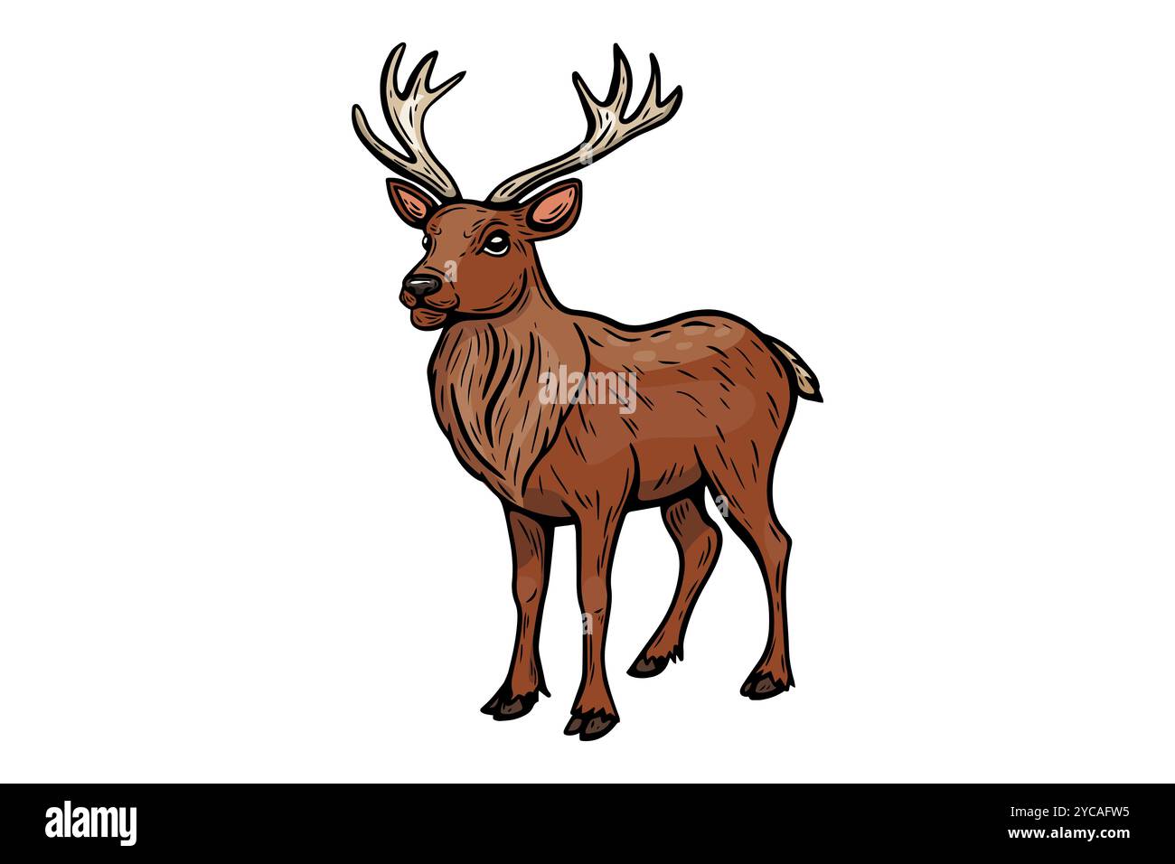 Vintage textured drawing pen Stock Vector Images - Alamy