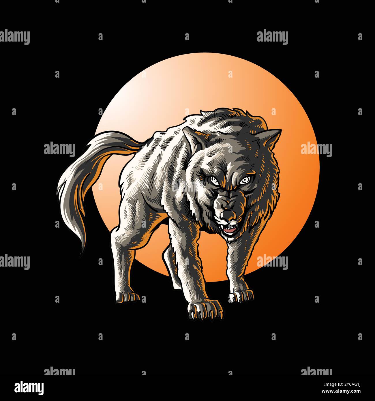 wolf wild animal vector illustration Stock Vector Image & Art - Alamy