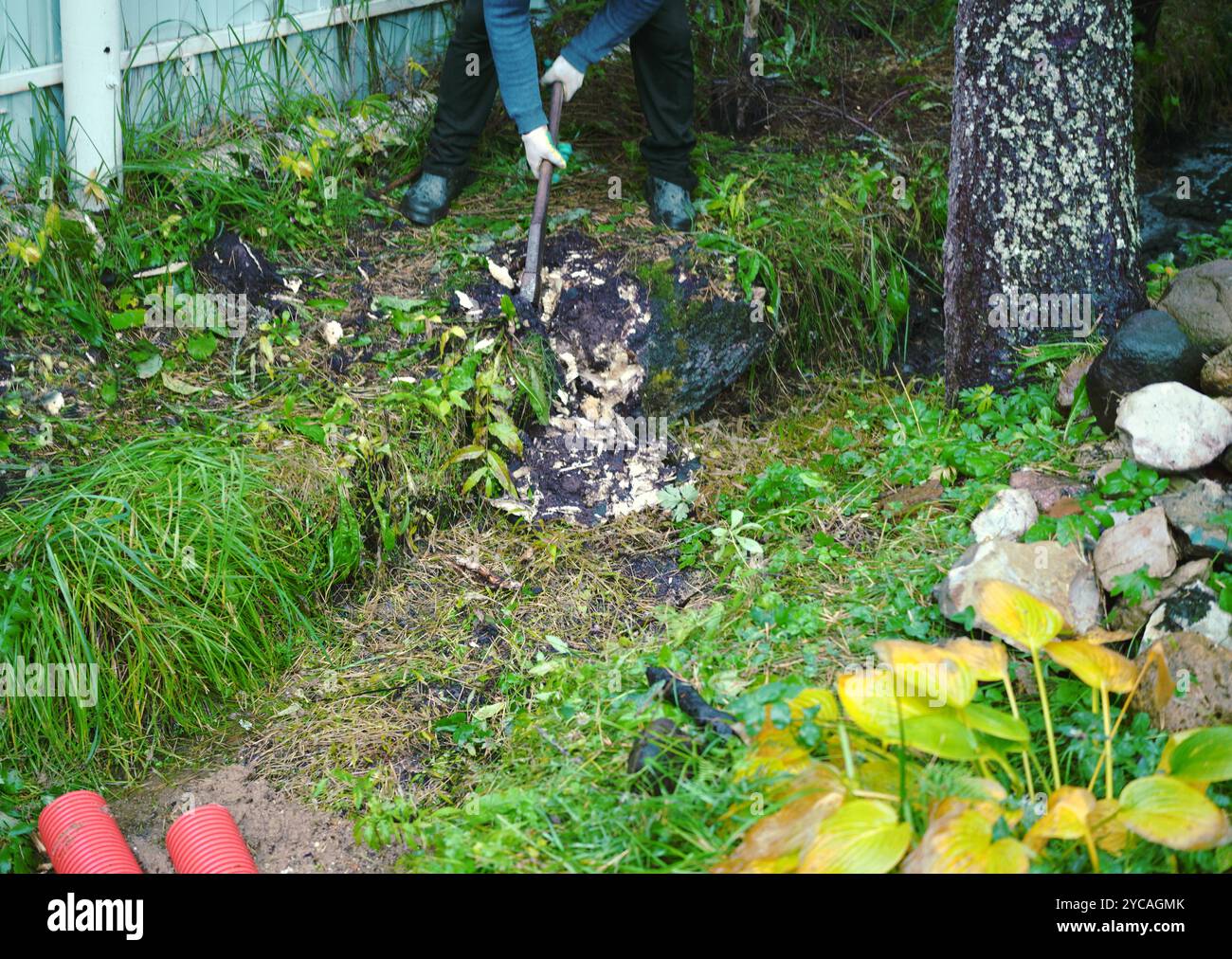 Removing tree roots hi-res stock photography and images - Alamy