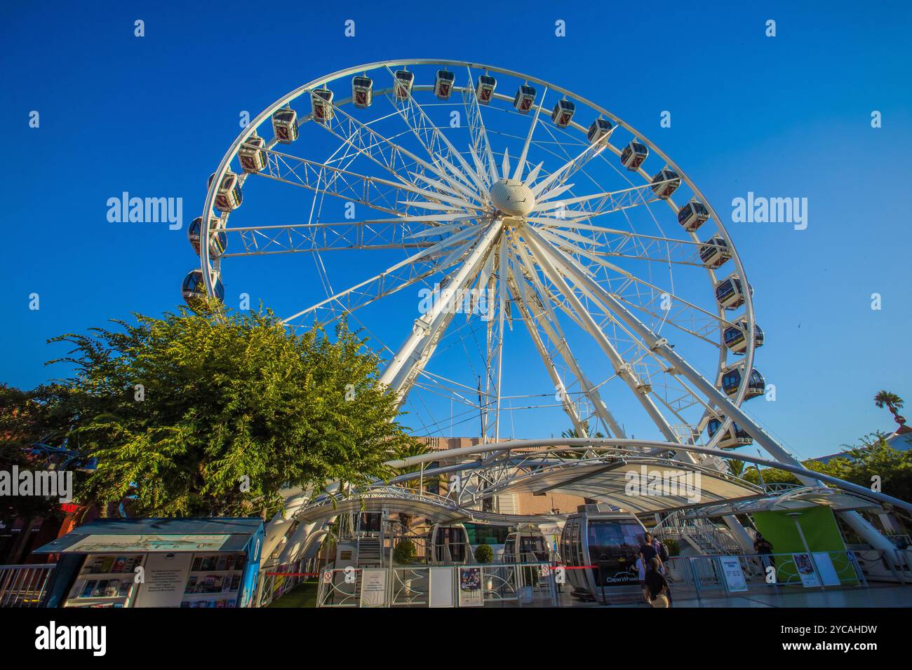 Ferris wheel at V&A Waterfront in Cape Town, South Africa Stock Photo ...