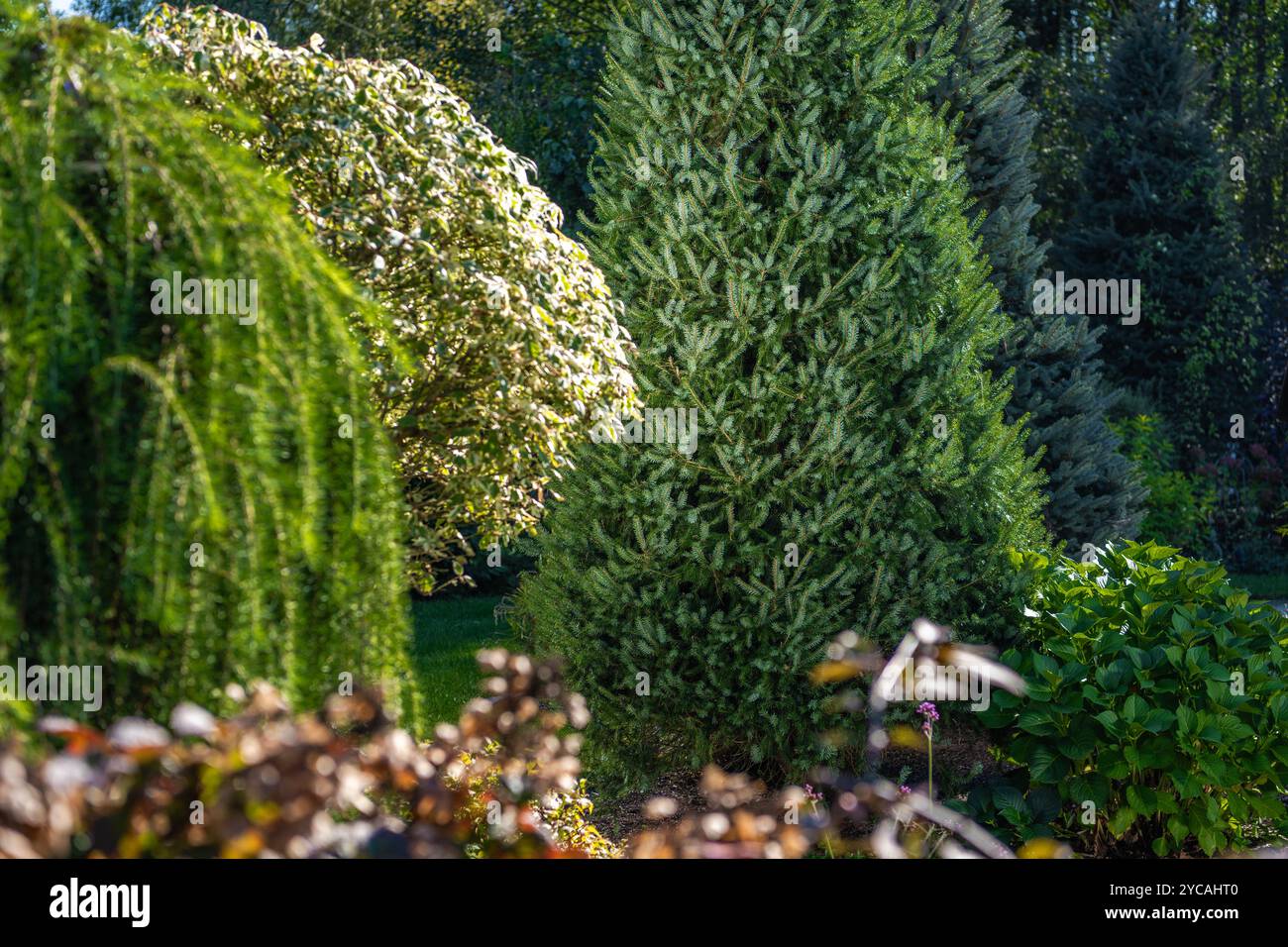 Featuring lush hi-res stock photography and images - Alamy