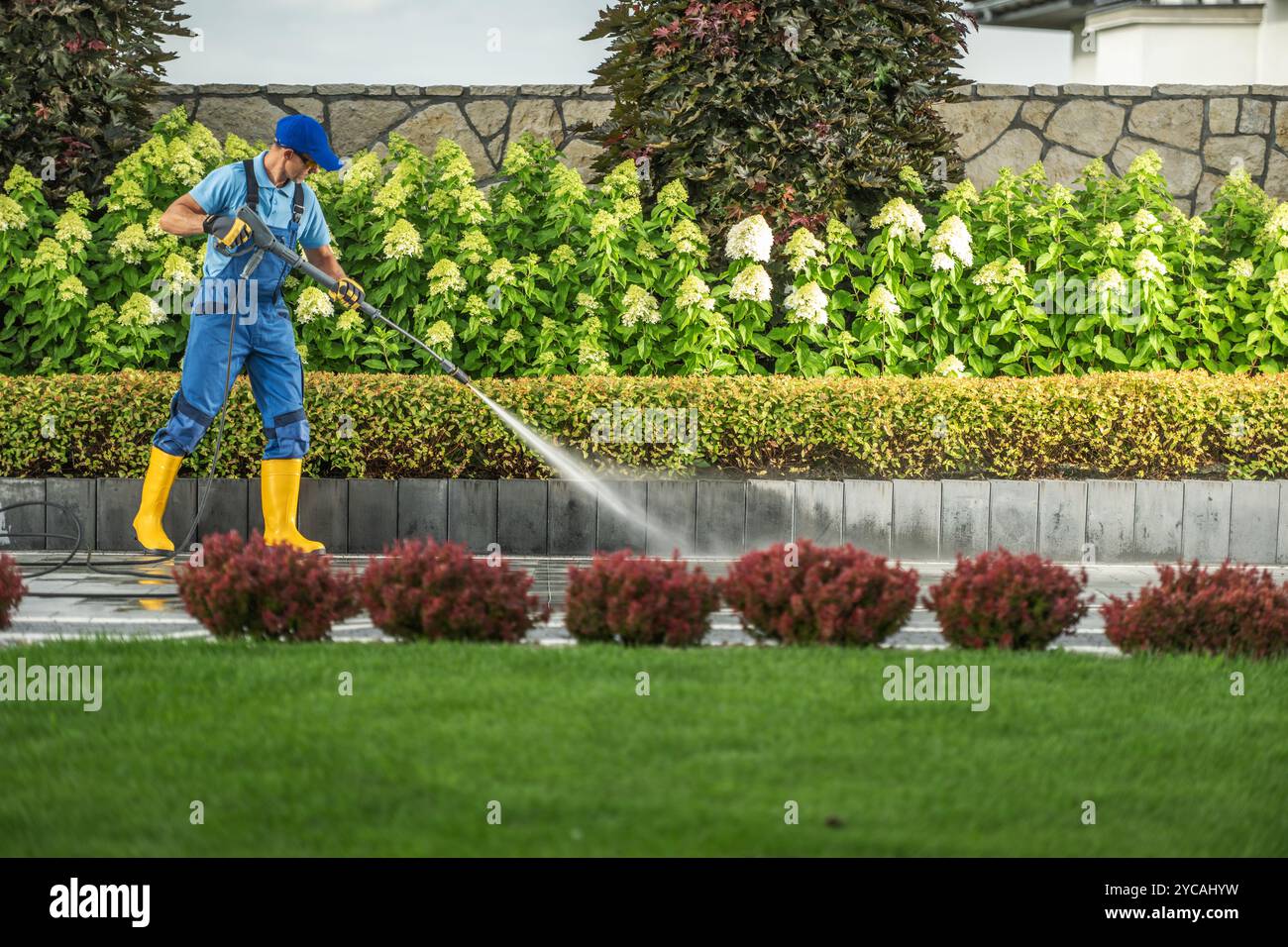 A gardener dressed in overalls and yellow boots meticulously uses a ...