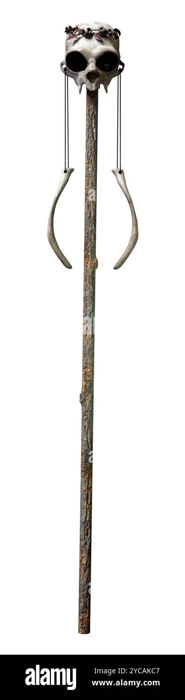 3D rendering of a pole skull isolated on white background Stock Photo ...