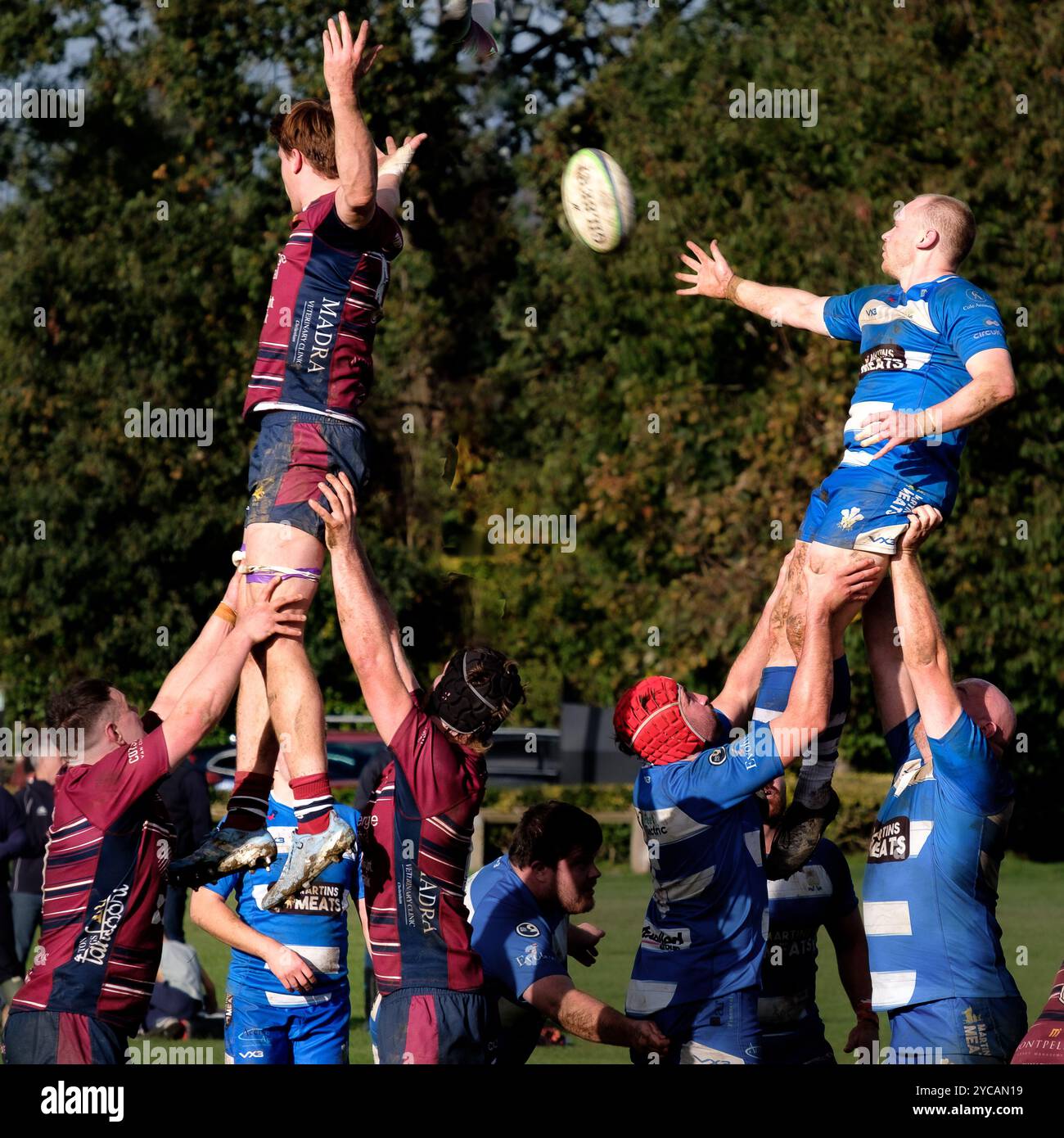 Rugby lineout close up hi-res stock photography and images - Alamy