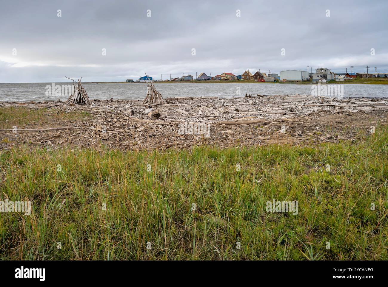 Drifting logs on the Arctic Ocean at the Mackenzie Delta at Tuktoyaktuk ...