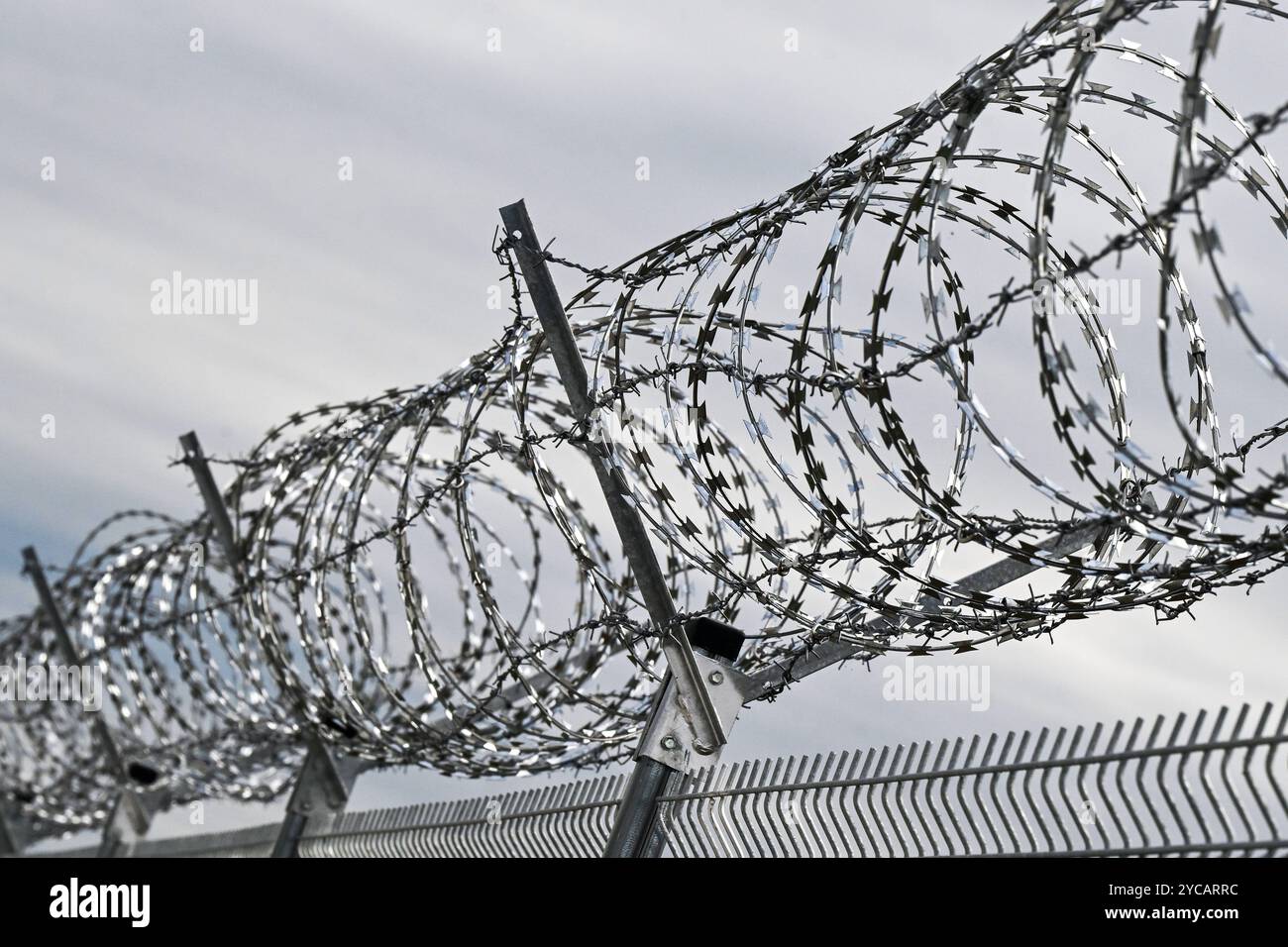 The launch of pilot energy project by MND and Gentec CHP, direct ...