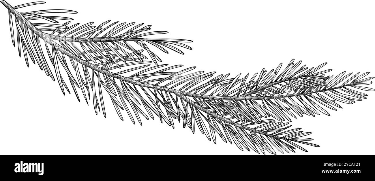Tree Drawing With Branches