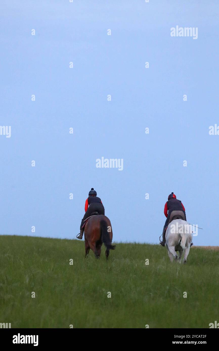 240822d014westerberg hi-res stock photography and images - Alamy