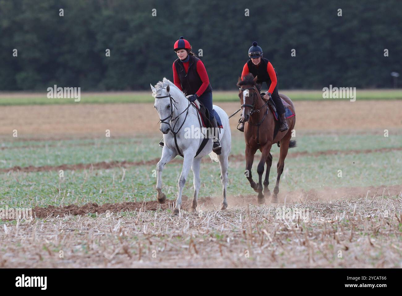 240822d054westerberg hi-res stock photography and images - Alamy