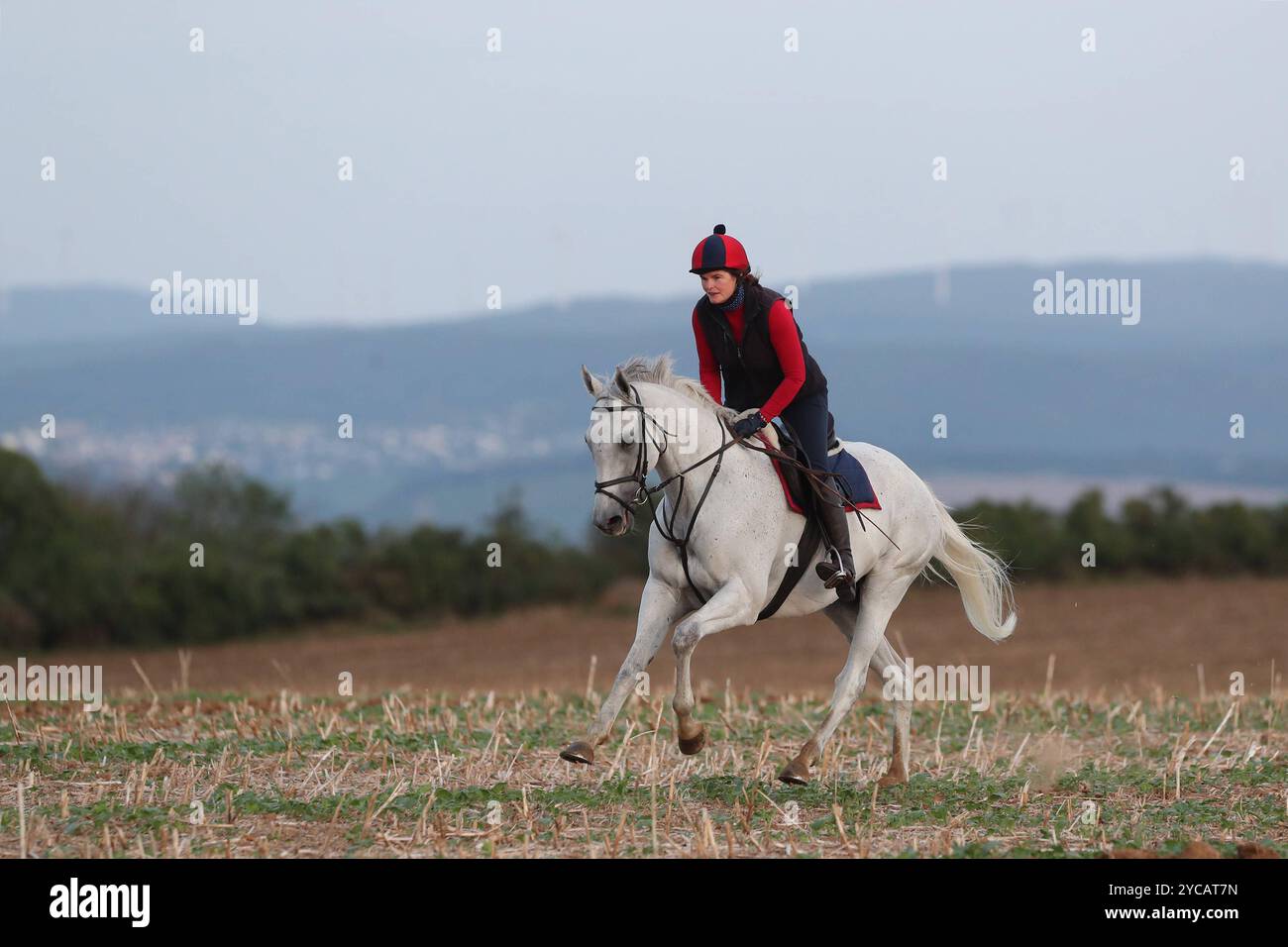 240822d060westerberg hi-res stock photography and images - Alamy